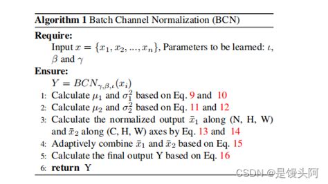 22、bcn：新的归一化 bn和ln的自适应结合，[归一化的时候要称植物！] bcn归一化 csdn博客