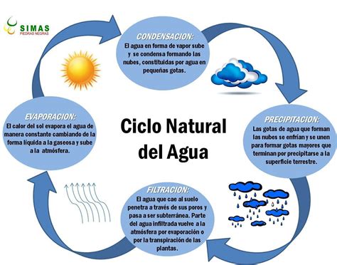 Ciclos Biogeoqu Micos Mind Map