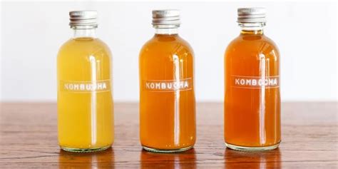 Qué es la kombucha y cuáles son sus beneficios Filo News