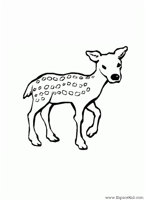 Coloriage Faon à imprimer dans les coloriages Cerf dessin à imprimer