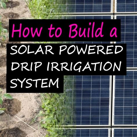 Building A Solar Powered Drip Irrigation System Is A Great Way To