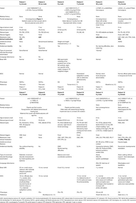 Frontiers Case Report Novel Homozygous Likely Pathogenic SCN1A