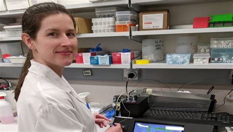 Why Microbes In The Deep Ocean Live Without Sunlight New Study
