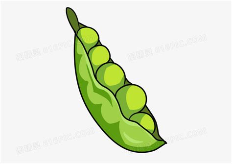手绘卡通插画简约豌豆图片免费下载 PNG素材 编号1l0ikoy2l 图精灵