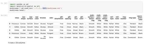 javascript how do i build something similar to a jupyter notebook code cell with rich outputs