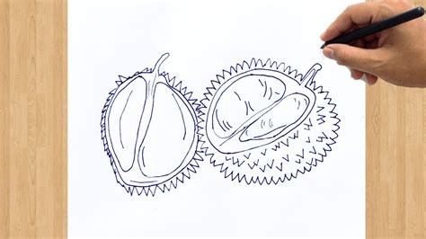 Durian Drawing Easy How To Draw A Durian Fruit Step By Step YouTube