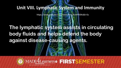 SOLUTION Unit Viii Lymphatic System And Immunity Studypool