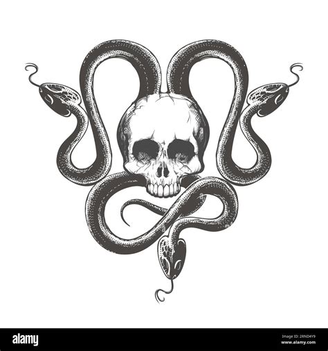 Esoteric Engraving Tattoo Of Human Skull In Traingle Of Snakes Esoteric