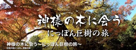 西田俊英先生がBSプレミアム神様の木に会うにっぽんの巨樹の旅にご出演されます 武蔵野美術大学 日本画学科研究室
