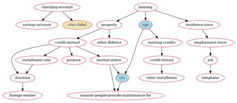 german credit bayesian network class label class label protected download scientific
