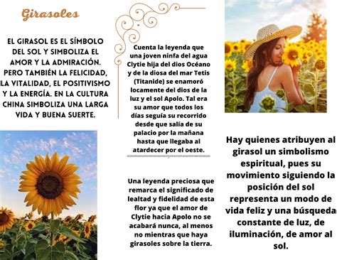 girasoles Girasoles Significado del girasol Actividades de enseñanza