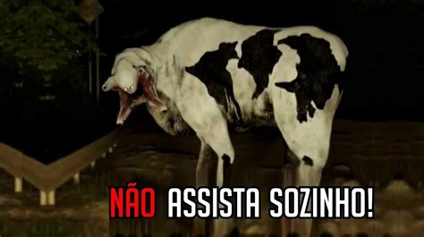 5 Vídeos de TERROR REAL Muito ASSUSTADORES 66 YouTube