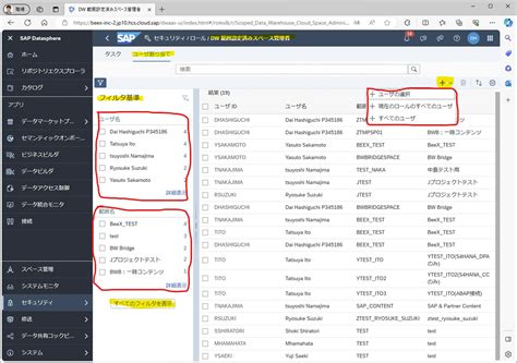 Sap Btpsap Datasphere Scoped Role