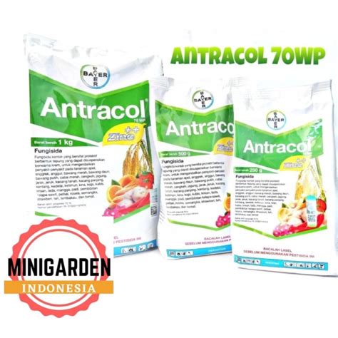 Jual ANTRACOL 1KG FUNGISIDA 70 WP ZINC Obat Pengendali Hama Pembasmi