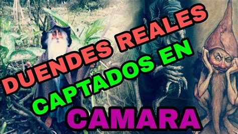 EXTRAÑAS CRIATURAS CAPTADAS EN CAMARA TOP GURRAN YouTube