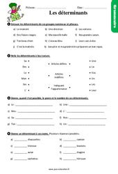 Article et déterminant CE2 Cycle 2 Exercice évaluation révision leçon
