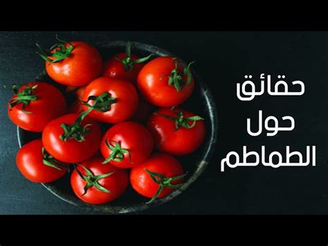 مفيد 10 حقائق مثيرة للأهتمام حول الطماطم