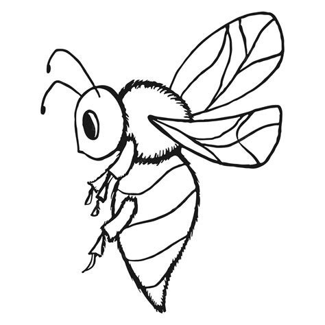 20 Desenhos De Abelha Desenhos Para Colorir