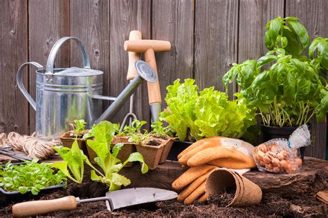 The Gardeners Toolkit 5 Essential Tools Every Gardener Needs The