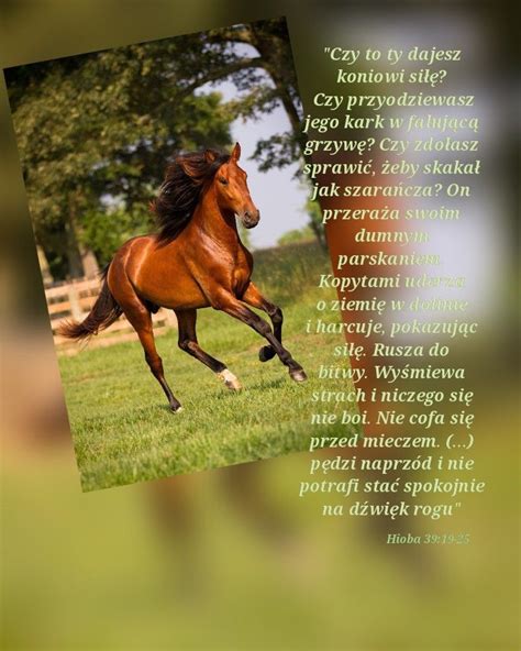 Pin Di Joanna Baran Su Zapisane Przeze Mnie