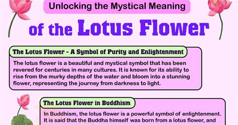 Lotus Flower Meaning What Does It Mean 7ESL