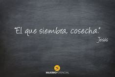 Ideas De Frases Sobre Siembra Y Cosecha Frases Siembras Cosecha