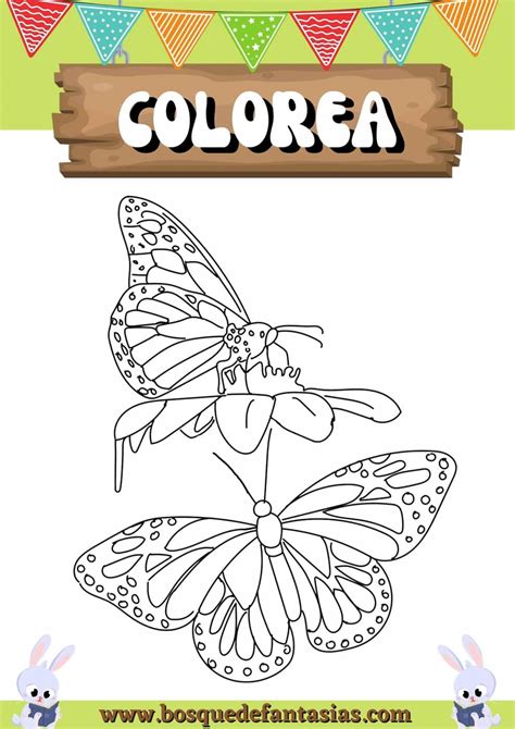 Dibujo Mariposa Para Colorear Juegos Infantiles
