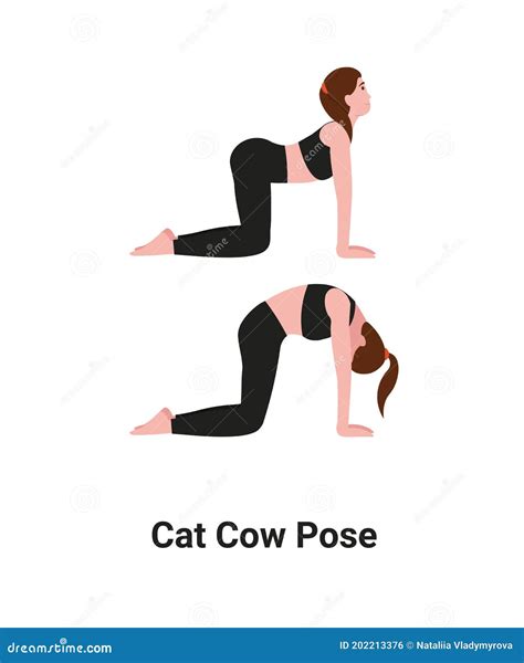 Cat Cow Yoga Pose Woman Character Vector Illustration CartoonDealer
