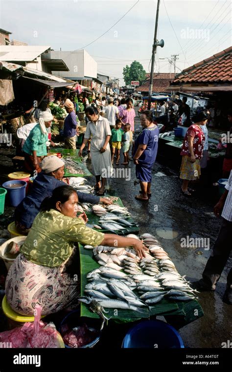 Pasar Ikan Hias Di Jakarta Indonesia Bloraupdate