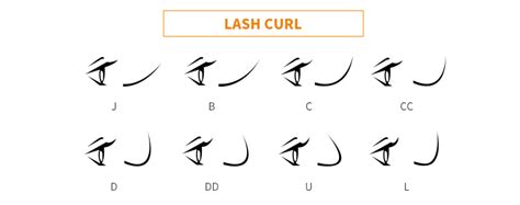 Explicación de todos los tipos de curvatura de las extensiones de