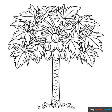 Papaya Tree Coloring Page Easy Drawing Guides Tree Coloring Page