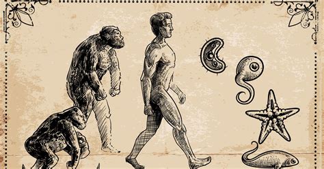 Comprobado científicamente 140 años después Darwin tenía razón