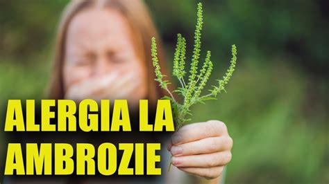 Alergia la ambrozie diagnostic și tratament YouTube