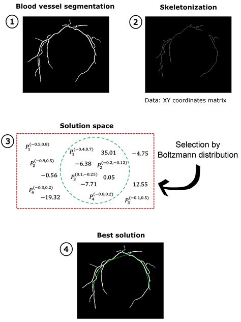 axioms free full text numerical modeling of the major temporal arcade using bumda and jacobi