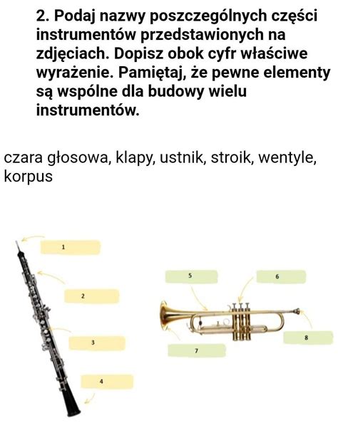 Prosze O Pomoc W Tym Zadaniu Brainly Pl