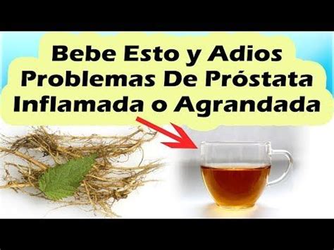 Como Desinflamar La Próstata Inflamada o Agrandada Con Remedios Caseros
