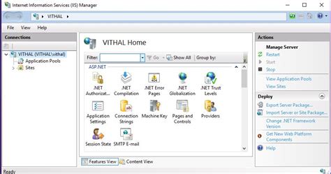 how to host asp net mvc project on iis hosting in iis