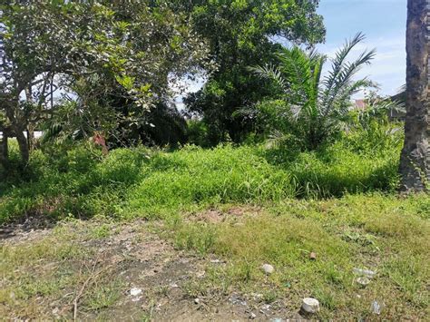 2 Tanah Lot Untuk Dijual Di Kota Setia Perak Tengah Perak
