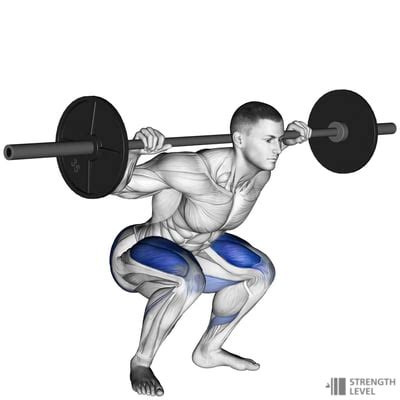 Przysiad ze sztangą standardy dla mężczyzn i kobiet kg Strength Level