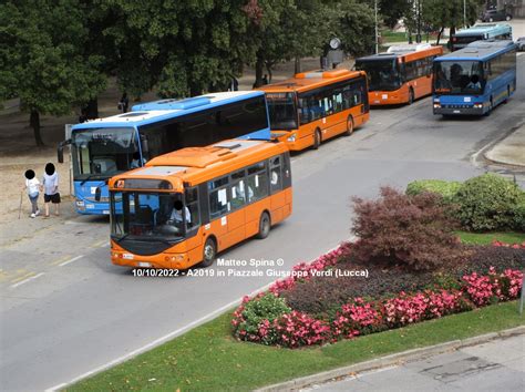 A Matricole Axxxx Ex Ctt E Trasporti Toscani Urbane Gasolio E