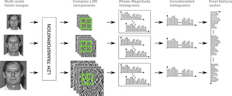 steps of the proposed multi scale feature extraction scheme using lzm download scientific