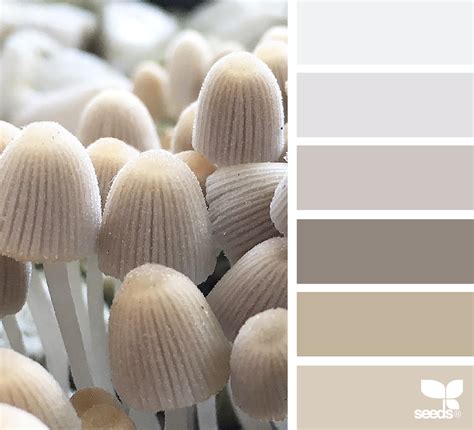 Nature Tones Design Seeds Color Palette Beige Color Palette Design