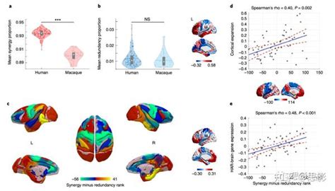 Nature Neuroscience