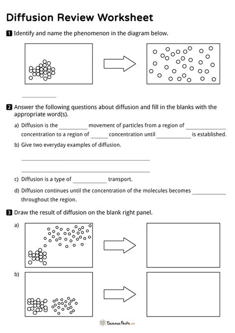 Diffusion Worksheets Free Printables