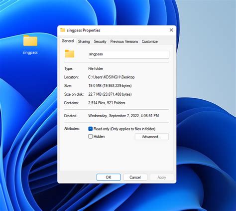 golang tutorial properties viewer cli tool windows programming geeks club