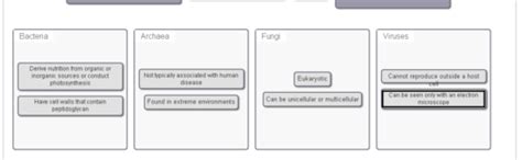 Mastering Bio For Unit 1 Flashcards Quizlet