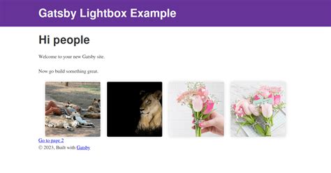 Gallery And Lightbox With Gatsby Img Codesandbox
