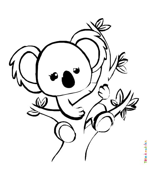 Dessin d un koala sur sa branche à imprimer avec Tête à modeler