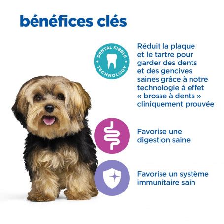 Vet Essentials Chien Multi Benefit Dental Adult 1 Small Mini