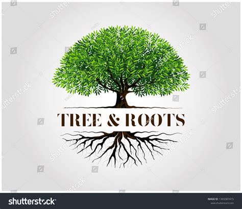 Tree Roots Logo Design Vector Isolated Stock Vector Royalty Free
